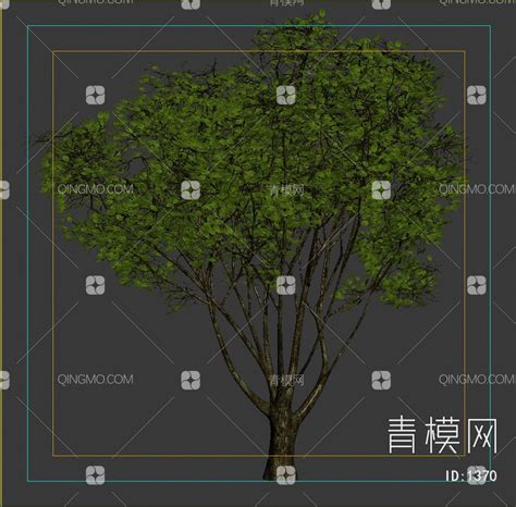 【树3d模型】 Vr无灯光有贴图max2012树3d模型下载 Id1370 免费3dmax模型库 青模3d模型网