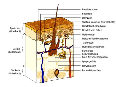Skin Structure Professionals