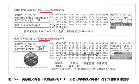 29 实体和编码实体编码规则 Csdn博客