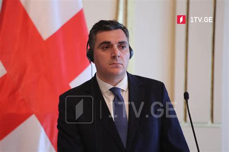 ილია დარჩიაშვილი შესაძლებლობა მქონდა ბრიუსელში მესაუბრა 12 პუნქტის