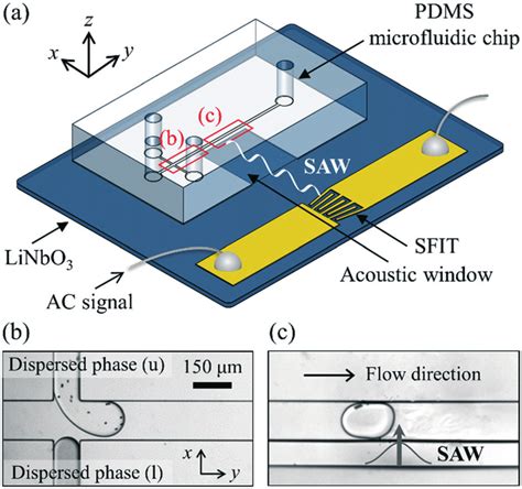 A Shows A Perspective View Schematic Diagram Of The Acoustofluidic Download Scientific Diagram