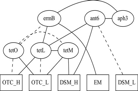 Final Globally Optimal Additive Bayesian Network Model After Adjustment