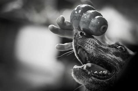 Tuck In Your Apis Safe And Sound With These Guiding Principles For Api