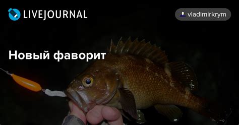 Новый фаворит Vladimirkrym — Livejournal