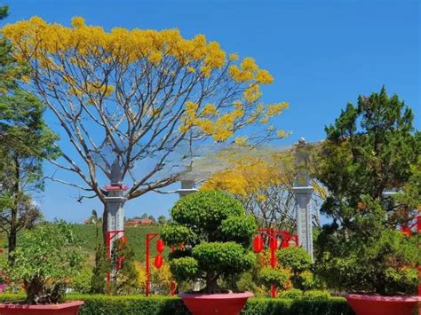 Kinh Nghiệm Du Lịch Phú Quốc