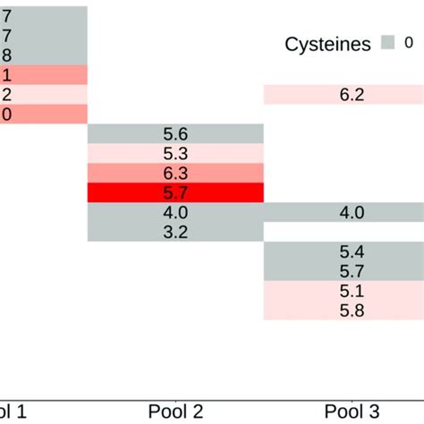Peptide Pooling Scheme Shows In Each Column One Peptide Pool Where