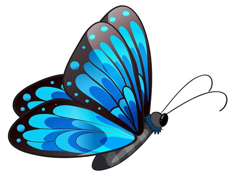 Butterfly Clip Art Transparent Blue Butterfly Png Clipart Png