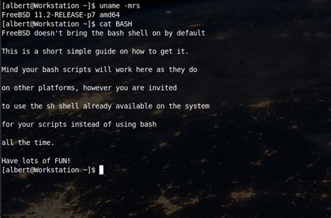 How To Install The Bash Shell On FreeBSD Admin By Accident