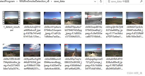 基于yolov8深度学习的野外火焰烟雾检测系统【python源码pyqt5界面数据集训练代码】深度学习实战、目标检测（1） 阿里云开发者社区