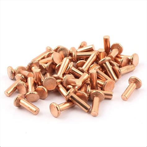 Round Solid Copper Rivet At Best Price In New Delhi A J Metal And Alloy