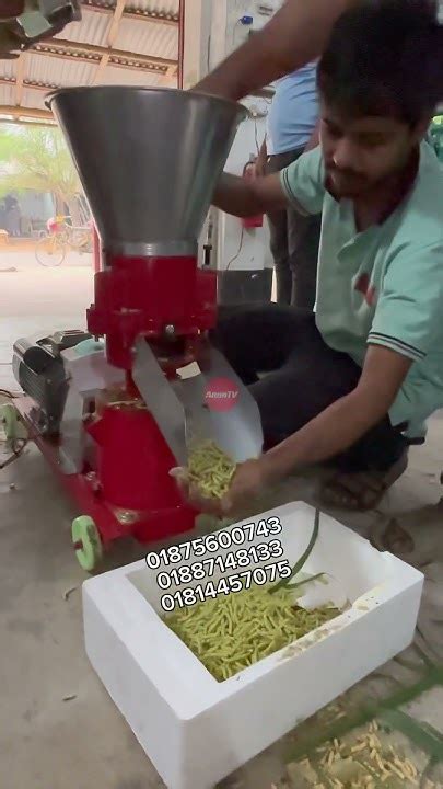 হাঁস মুরগি মাছ ও গরু ছাগলের ফিড কিভাবে তৈরি করা হয় দেখুন😱 Youtube