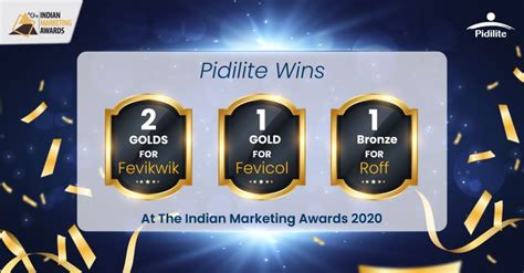 Pidilite Industries Limited On Linkedin Is It Even A Surprise That The Award Winning Campaigns