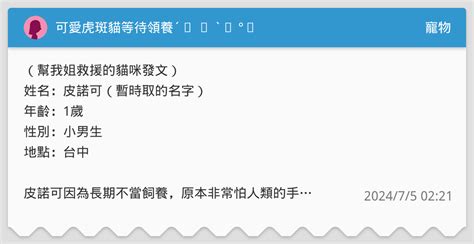 可愛虎斑貓等待領養´͈ ᵕ `͈ ♡° ̊ 寵物板 Dcard