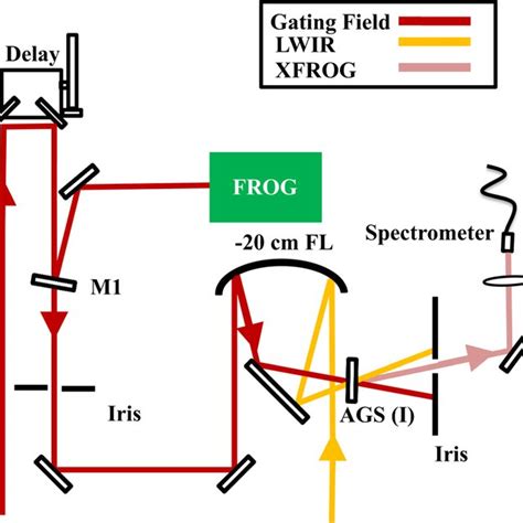 Layout For The Cross Correlation Frequency Resolved Optical Gating Download Scientific Diagram