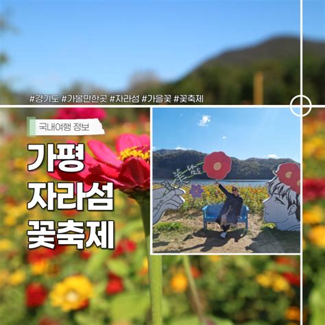 경기도 가평 가볼만한곳 자라섬에서 가을 꽃 구경하기 Feat 자라섬 남도 꽃정원 꽃축제 후기 네이버 블로그