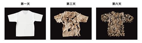 Pla（聚乳酸） 高化学株式会社
