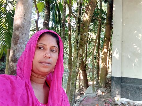 কাগজের ফুল Bd