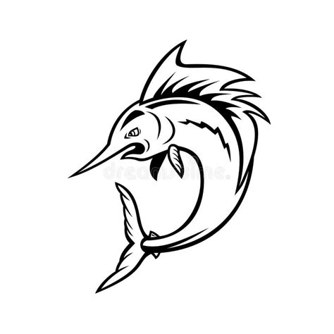 Pesce A Vela Atlantico Che Salta In Bianco E Nero Illustrazione