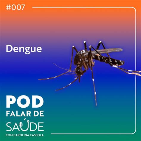 007 Dengue Como Cuidar E Quais Os Riscos De Uma Epidemia