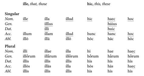 Trying To Understand Hic Haec Hoc As An Adjective Of The Second Type Of The Third Declension