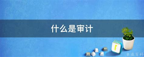 什么是审计 业百科