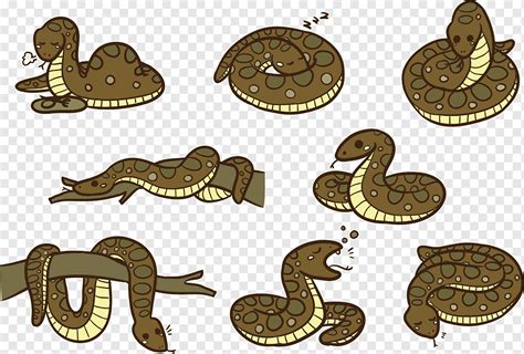 Dibujos Animados De Serpiente Anaconda Png PNGWing