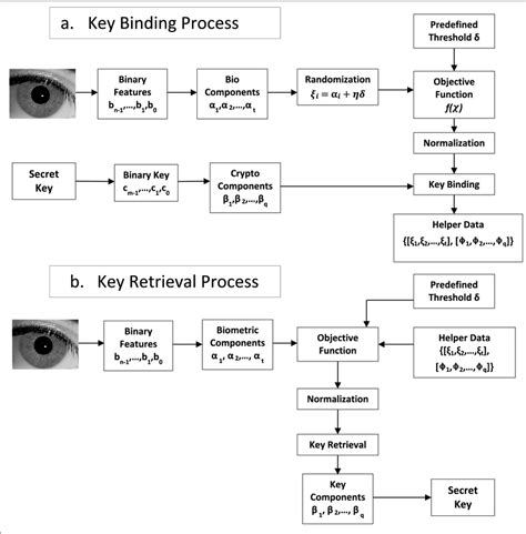 Proposed Biometric Crypto System A Key Binding Process Takes Biometric Download Scientific Diagram