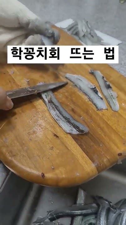 학꽁치회 회뜨기 학꽁치 Youtube