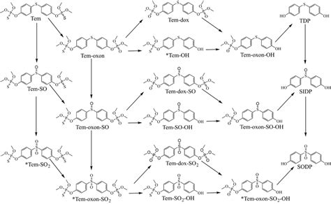 Biotransformation Pathway Proposed For Temephos In Rats Nondetected