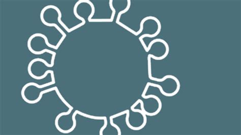 Key Considerations Gender Based Violence In Public Health Emergencies