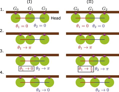 One Cycle Of The Gait Generated For Three Mass Points With The