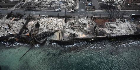 How To Help Maui Wildfire Victims Where To Donate And Support