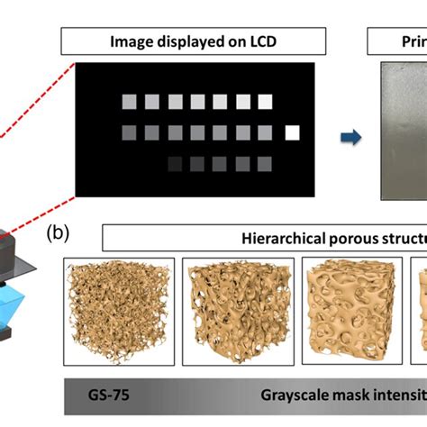 Grayscale Dlp Concept A In Grayscale Dlp 3d Printing An Image
