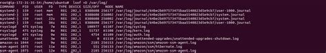 Steps To Install Lsof On Ubuntu 2004 Lts Hackerxone