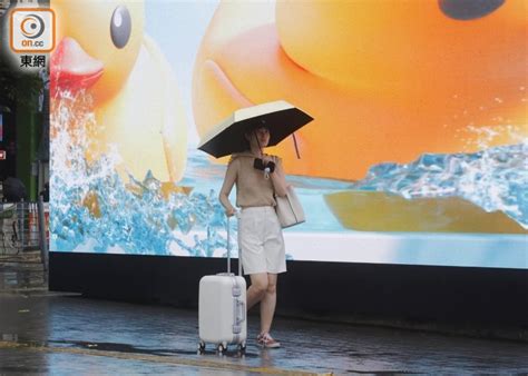 大致多雲 有幾陣驟雨及雷暴 下午2時錄29°c
