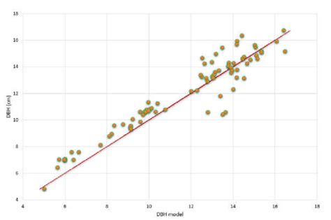 Measured Dbh Values Vs Model Predictions For The Validation Data The