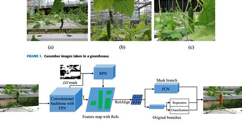 Figure 1 From Cucumber Fruits Detection In Greenhouses Based On