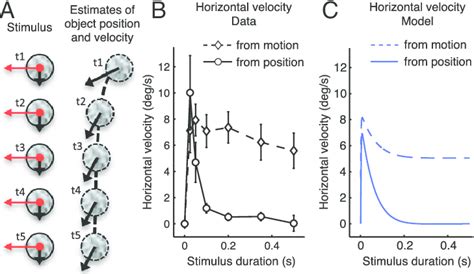 Experiment 2 Stimuli And Results A Left Panel Is A Schematic