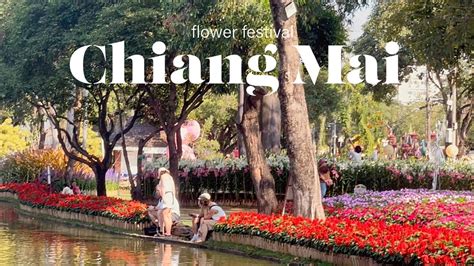 치앙마이 일상 브이로그 치앙마이 꽃축제에서 힐링하는 여행하기 2월의 겨울과 봄 그 사이 건기 시즌에 꽃 보러가는 브이