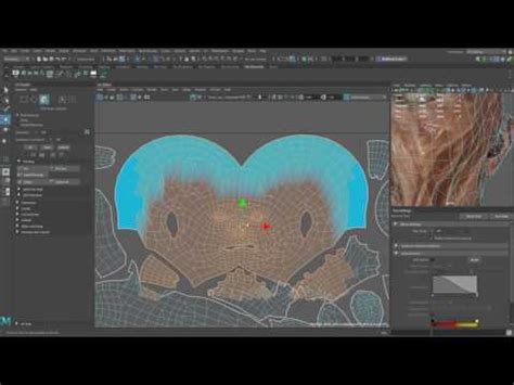 Tell Me The Best UV Unwrapping Software Polycount