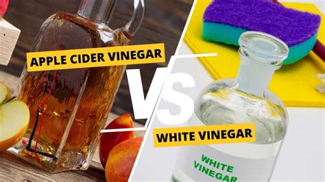 Apple Cider Vinegar Vs White Vinegar Which One Is Better For Weight