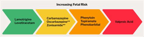 Anti Seizure Medications And Pregnancy Suitability Epilepsy And Pregnancy