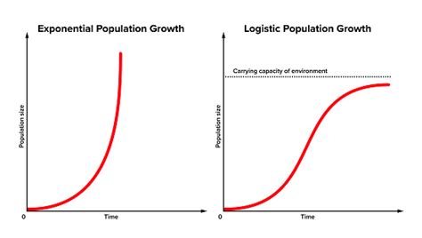 Exponential Versus Logistic Population Growth Stock Illustration
