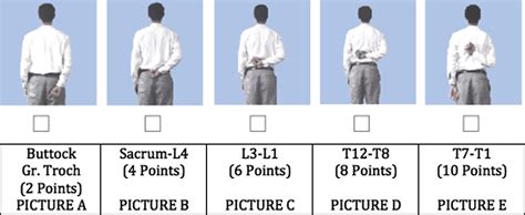 Functional Internal Rotation After Shoulder Arthroplasty A Comparison