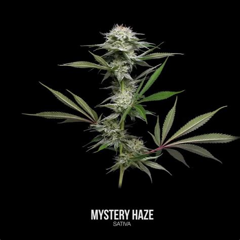 360 Degree View Of Mystery Haze By Erik Nugshots Youtube