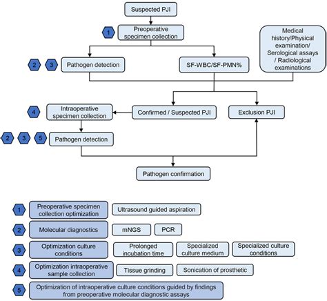 Recommended Pji Pathogen Detection Flowchart Pji Periprosthetic Joint