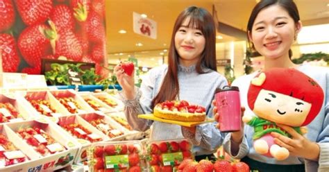 딸기 디저트 딸기 인형 딸기 텀블러