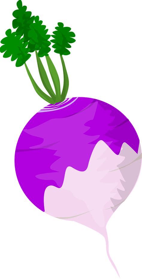 Turnip Dream Meaning Dream Dictionary