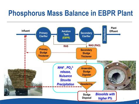 Ppt Breaking Loop Of Phosphorus Recycle Side Stream Phosphorus