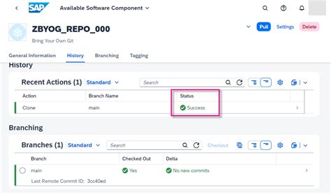 Transport A Software Component Between Two Systems Using Any Git Repository Byog Sap Tutorials